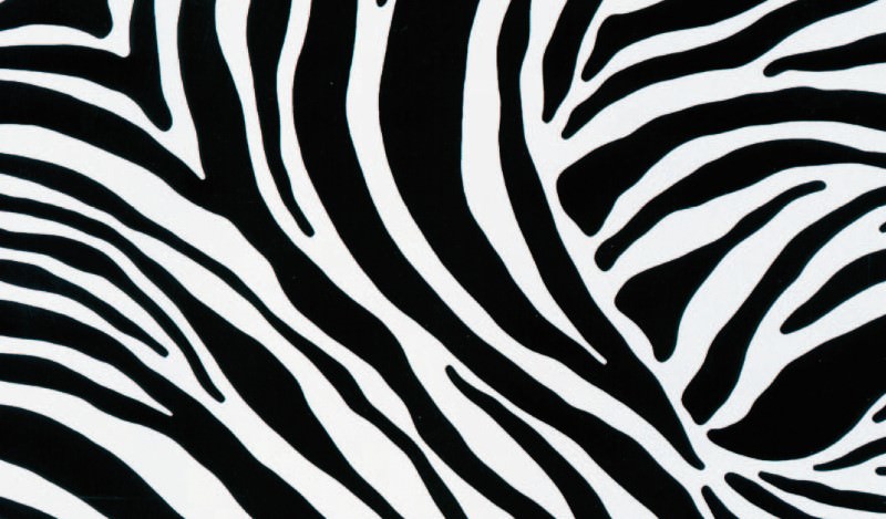 Fablon Sticky Back Self Adhesive Vinyl Zebra - 45cm X 2m FAB10132 ...